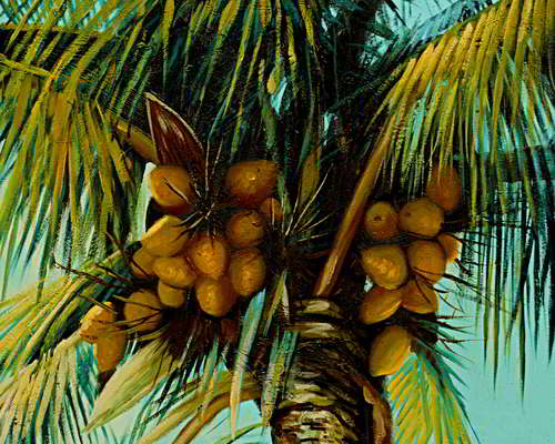 Coconuts – Gallery Uno Key West